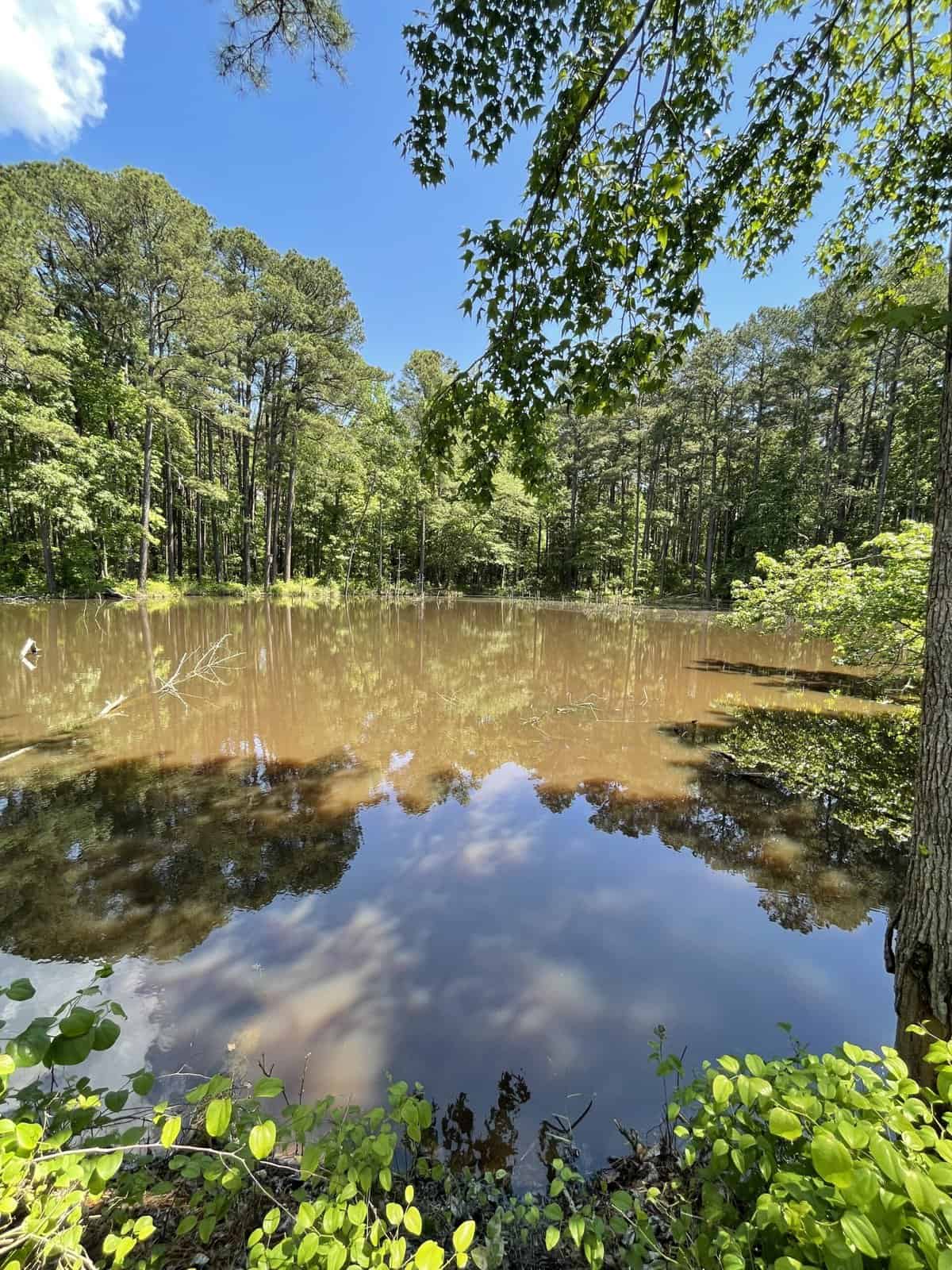 Camping at Jordan Lake State Park Recreation Area at Apex, North ...