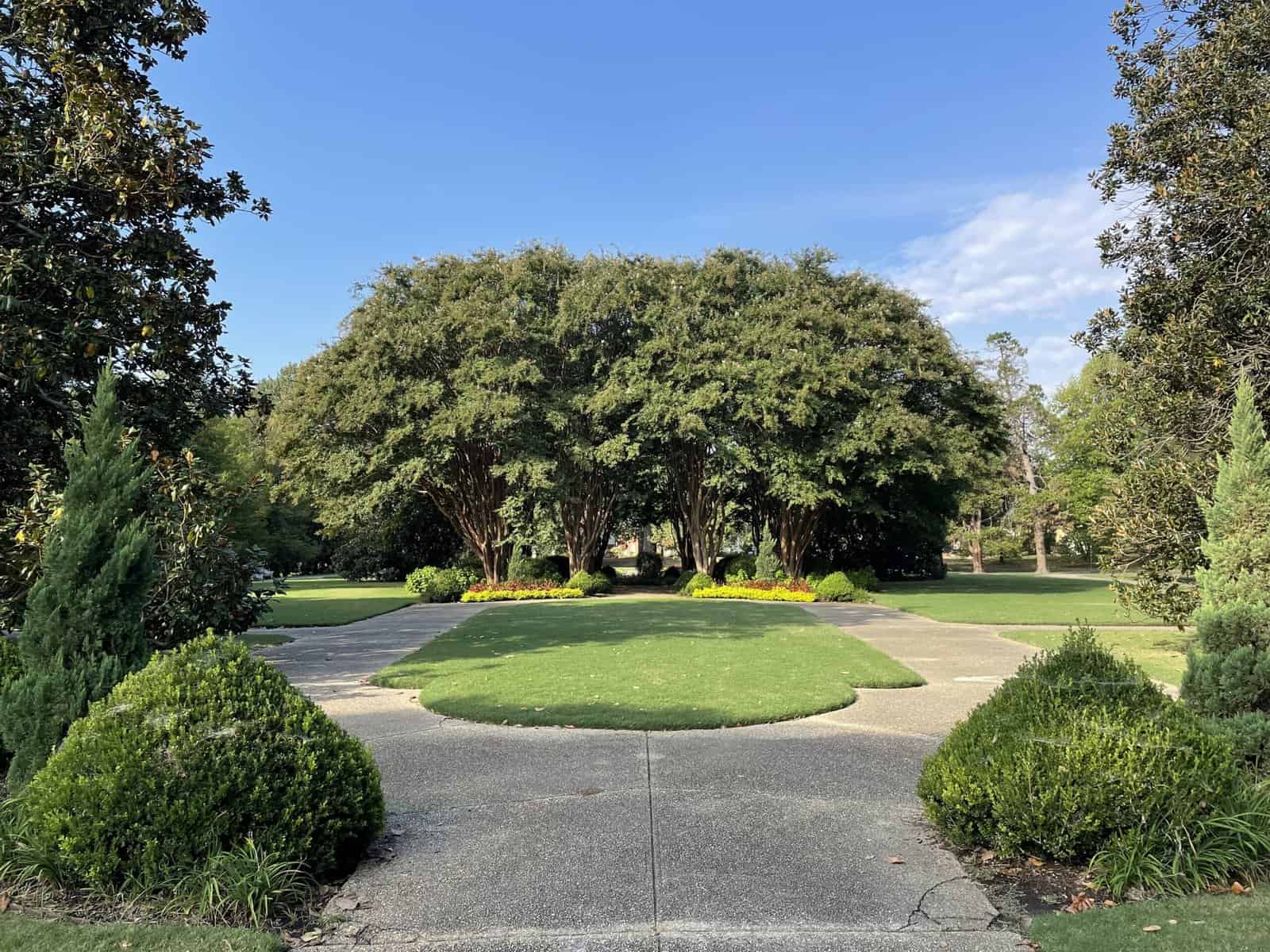 Walking Trails In Memphis: Discover the City's Best Parks for Exercise ...
